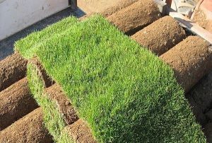 What Is Artificial Grass Made Of? - ArtificialGreens.org